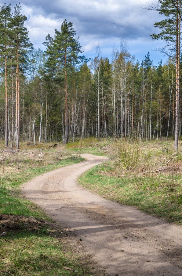 Country road a wood stock image. Image of landscape, field - 48891997