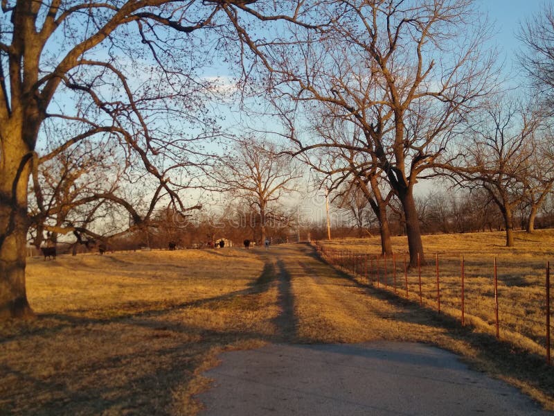Country Roads of the Country Stock Photo - Image of trees, country ...