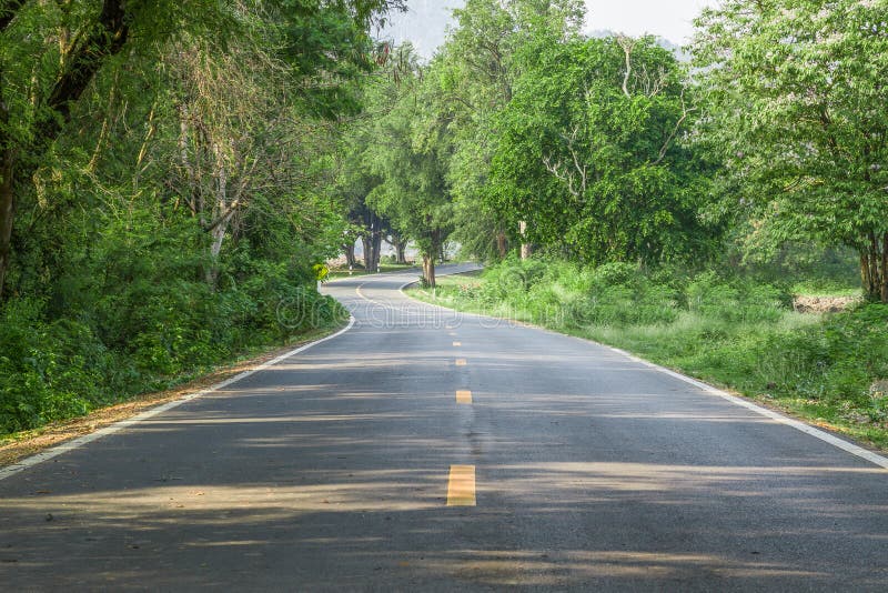 Country Roads stock image. Image of branches, planting - 79855097