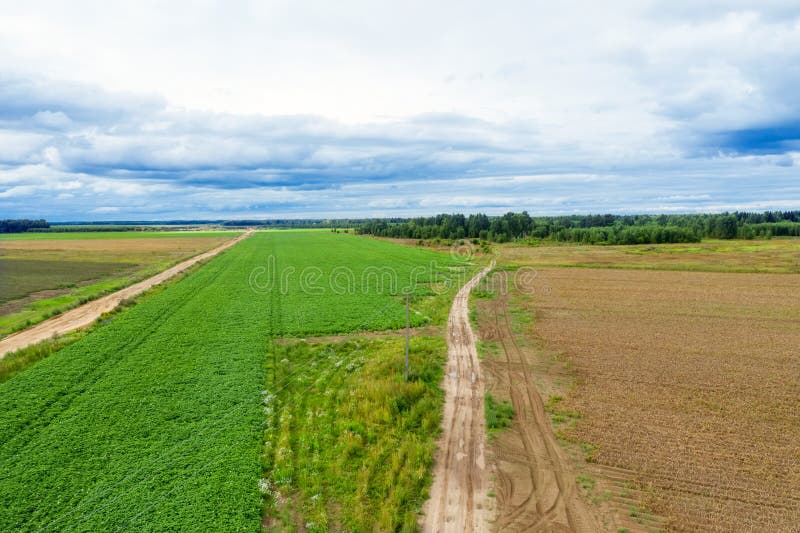 Country Roads through Farm Fields Stock Image - Image of seed, tree ...