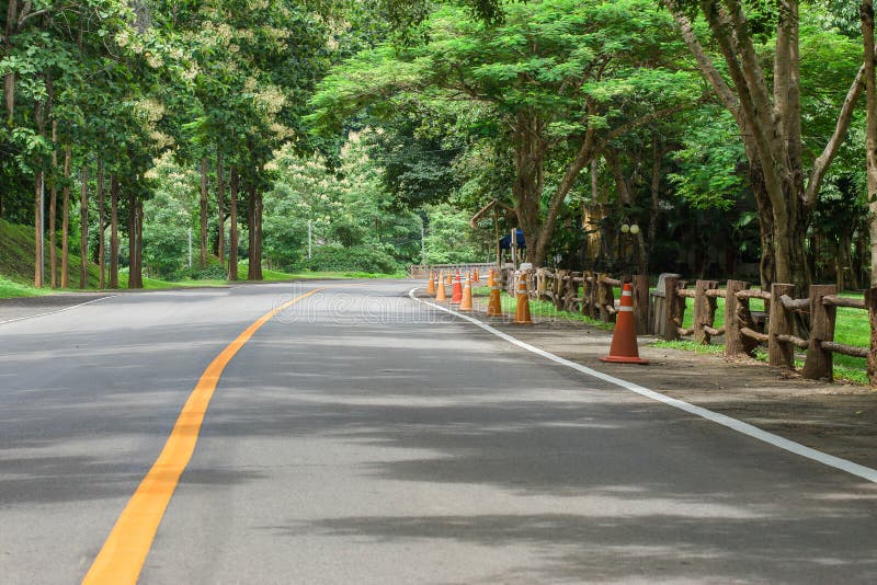 Country Roads stock image. Image of trunk, branches, lane - 80178993
