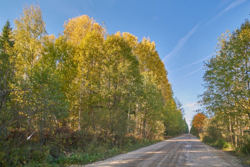 Country roads in Russia stock image. Image of sunny - 137474855