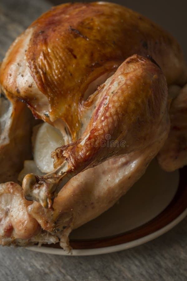 Country Roasted Turkey stock photo. Image of brown, country - 70580248