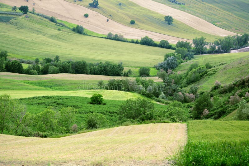 Green country stock image. Image of italy, holiday, horizon - 14592265