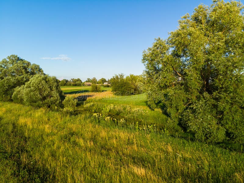 Rural Landscape with Flowers, Road and Field with Sunflower, Russia ...