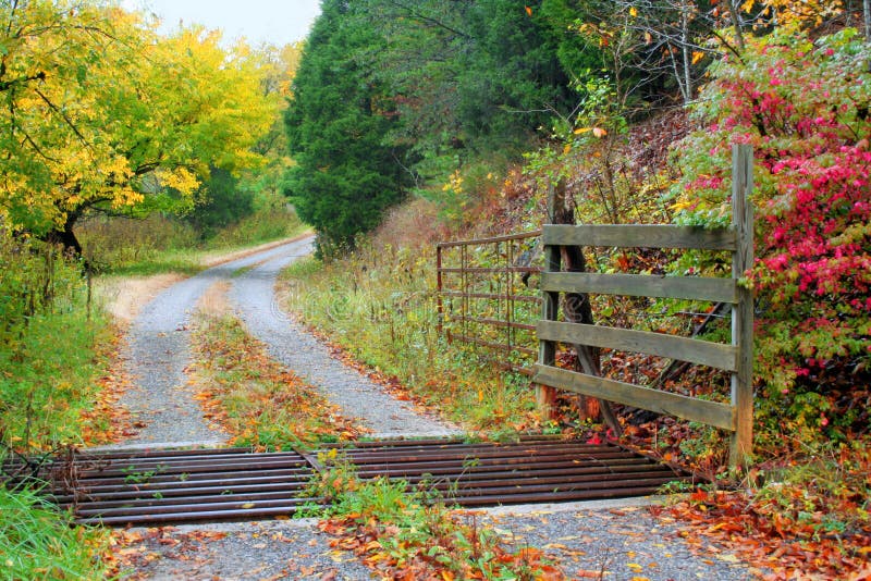 Country Scene stock photo. Image of carpet, country, avenue - 11489658