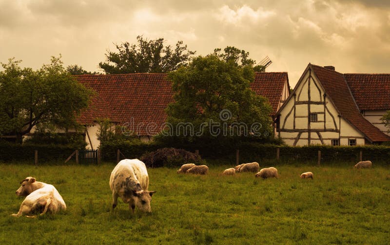 Country scene stock photo. Image of grazing, fashioned - 2572852
