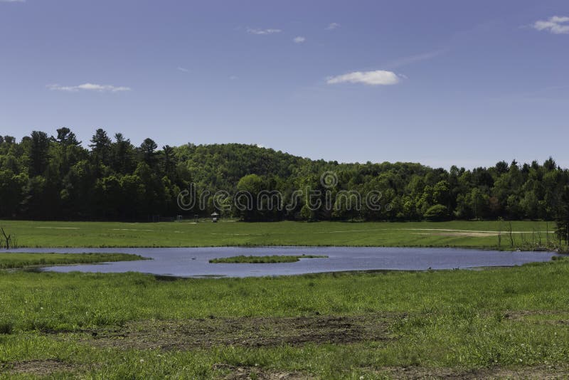 A Country Scene with Blue Sky Stock Image - Image of glides, bright ...