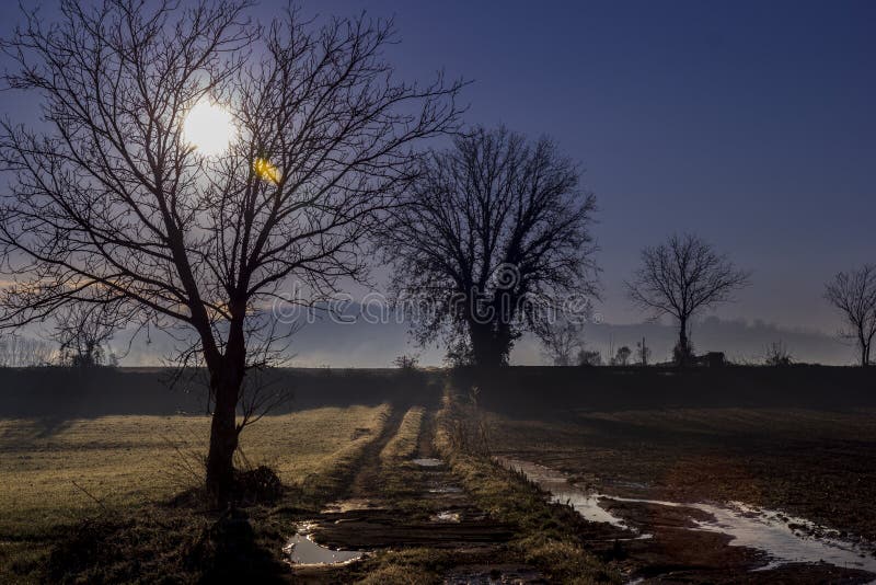 Country scene stock photo. Image of field, scene, outdoor - 183484852