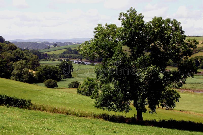 Farming in Devon stock image. Image of fields, england - 7805485