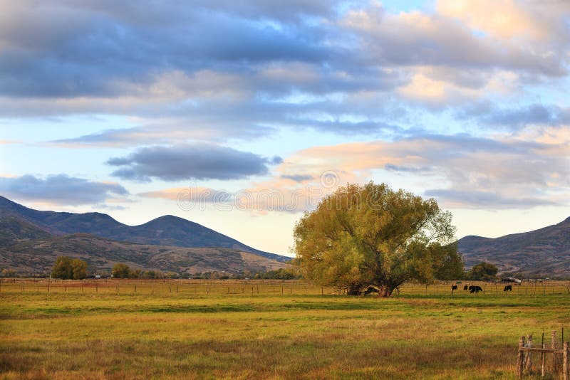 Country Scene at Sunset stock image. Image of agriculture - 23599291