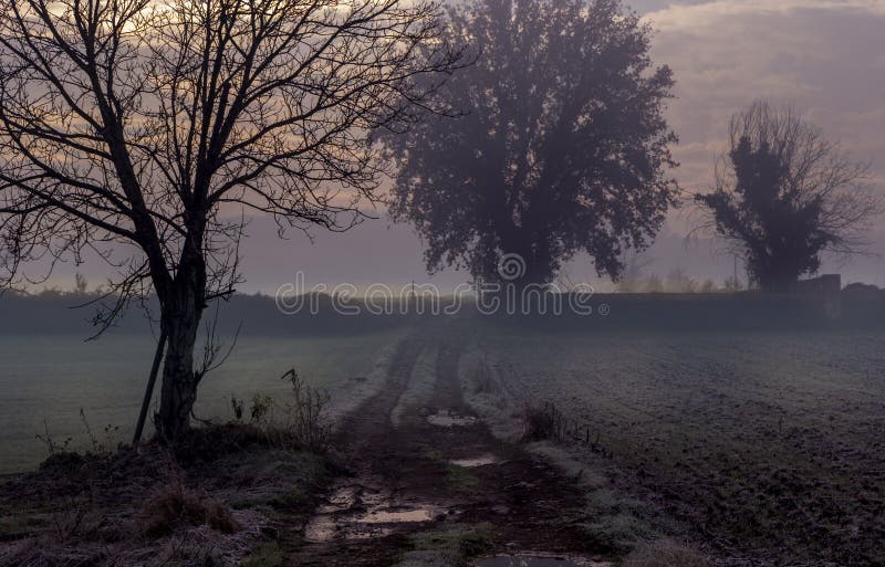Country scene with tree stock image. Image of scenery - 181240789