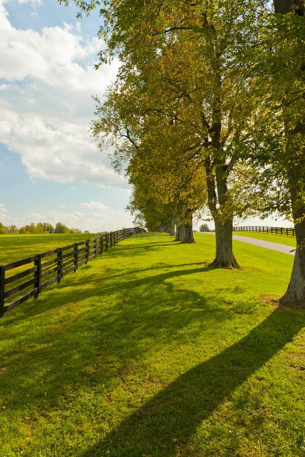Country Scenery on Beginning of Autumn Season Stock Image - Image of ...