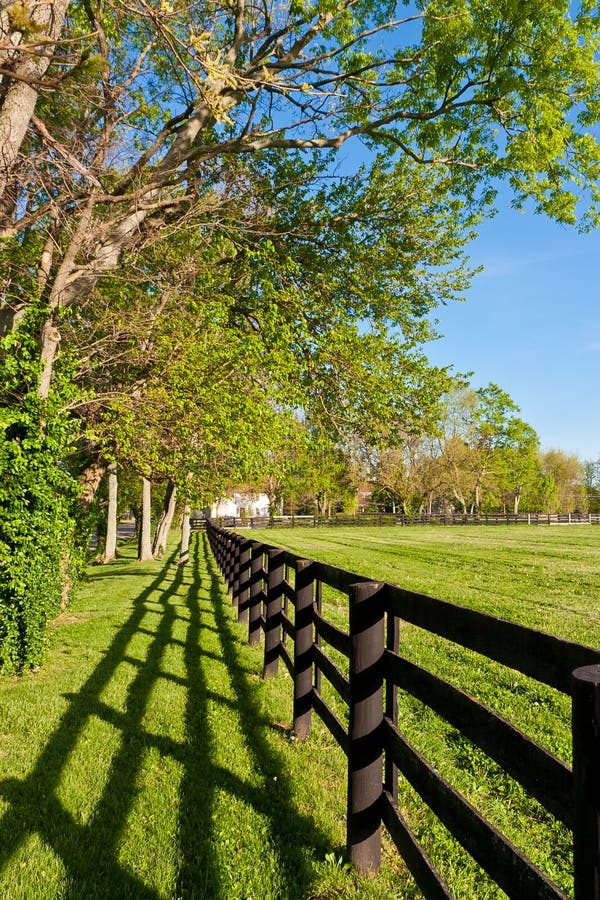 Country Scenery on Beginning of Autumn Season Stock Image - Image of ...