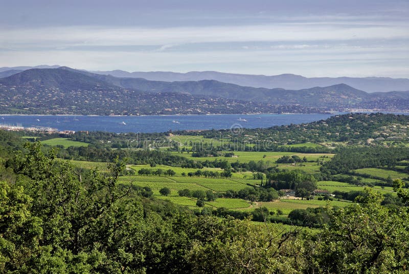 Country and sea of Gassin stock image. Image of tree, france - 2844513