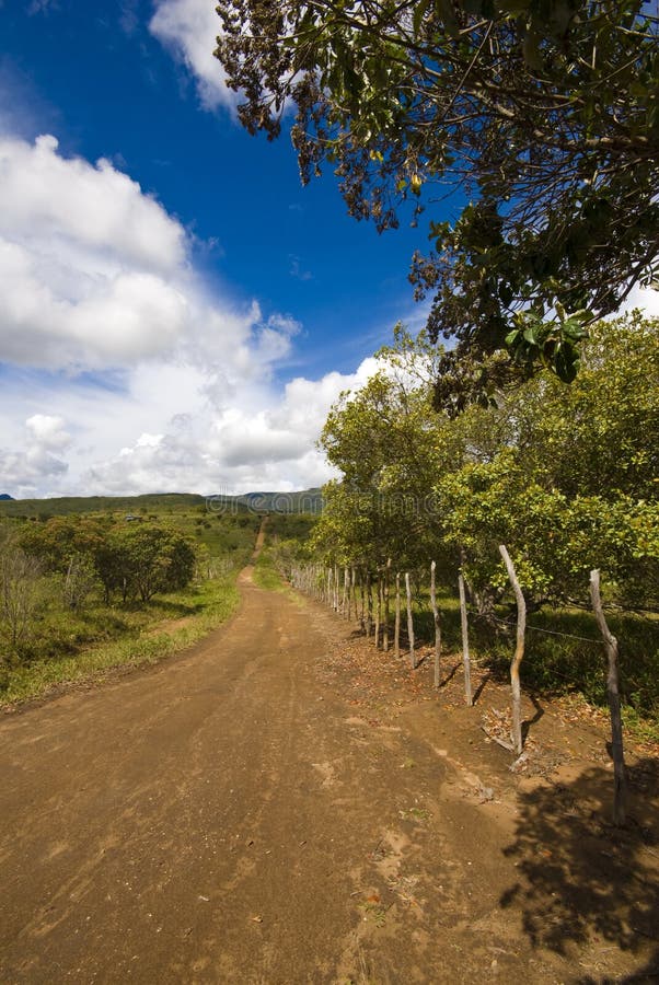 Country Side stock image. Image of farm, land, brazil - 11734417