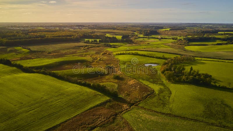 The Country Side in Denmark Stock Photo - Image of closeup, meadow ...
