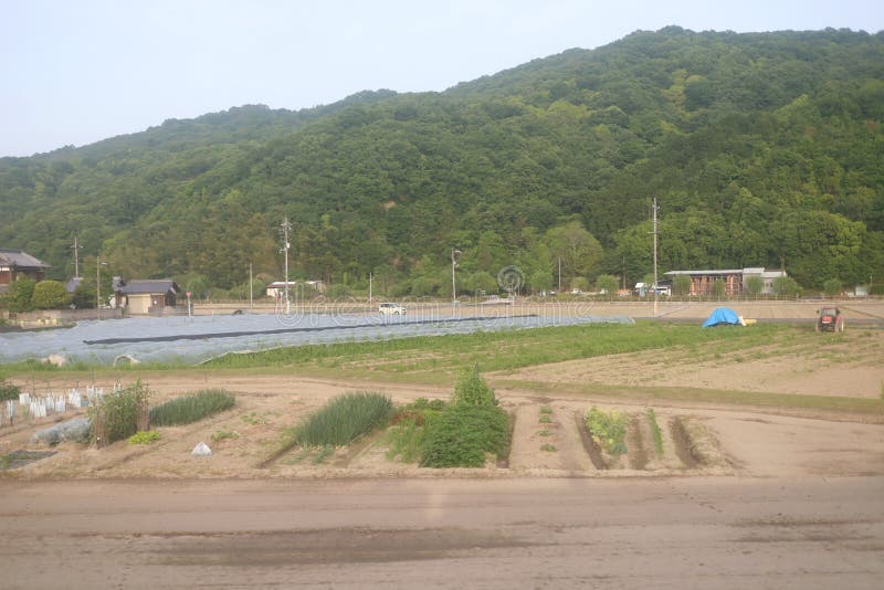 Country Side of Okayama View from Train Stock Photo - Image of forest ...