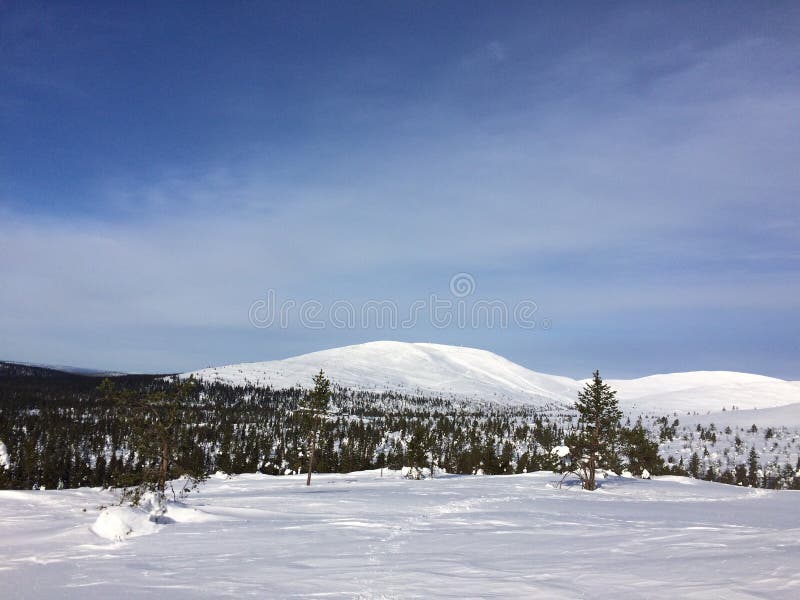 Country Snow stock image. Image of country, cold, blizzard - 65575527