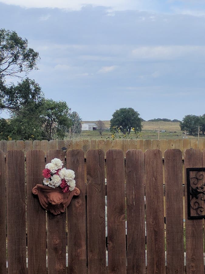 Country splendor stock image. Image of scene, beautiful - 113831949