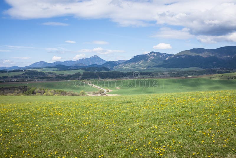 Country in spring stock photo. Image of horizon, country - 40039004