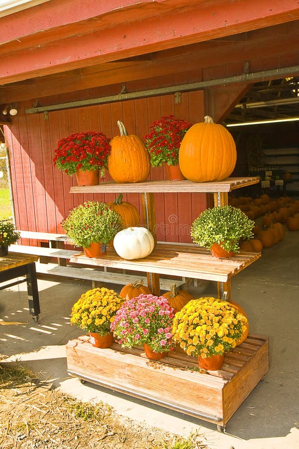 Country Stand stock photo. Image of season, flowers, selling - 16462248