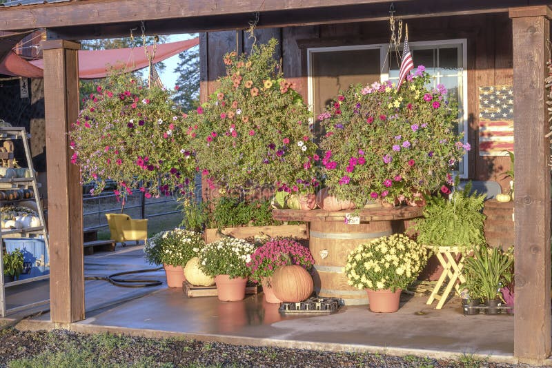 Country store rural Oregon stock image. Image of barrel - 258299267