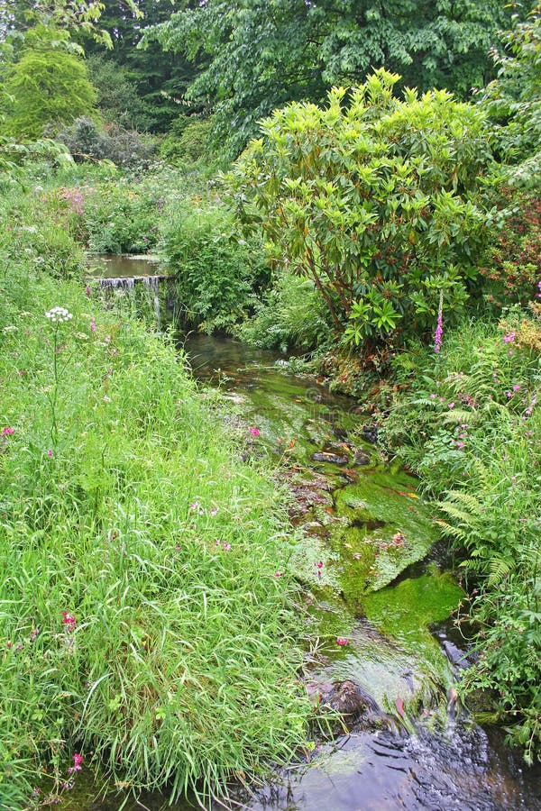 Country stream stock photo. Image of river, garden, trees - 22260320