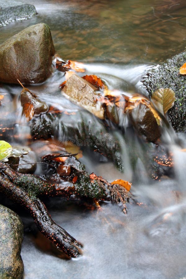 Country Stream Picture. Image: 291384