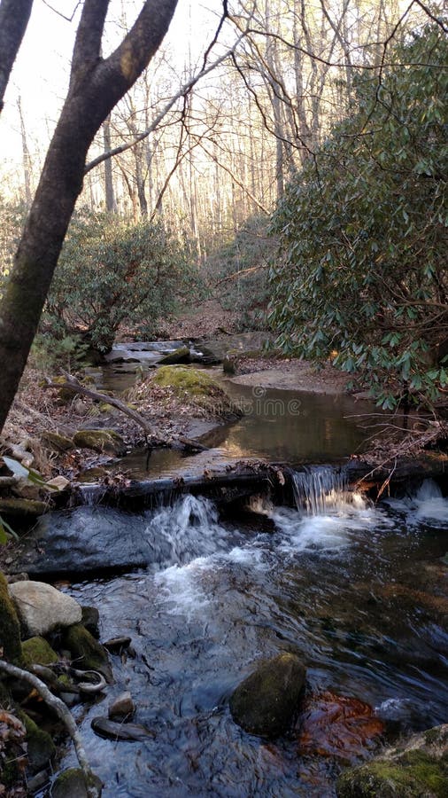 Country Stream stock photo. Image of forest, river, watercourse - 51610764