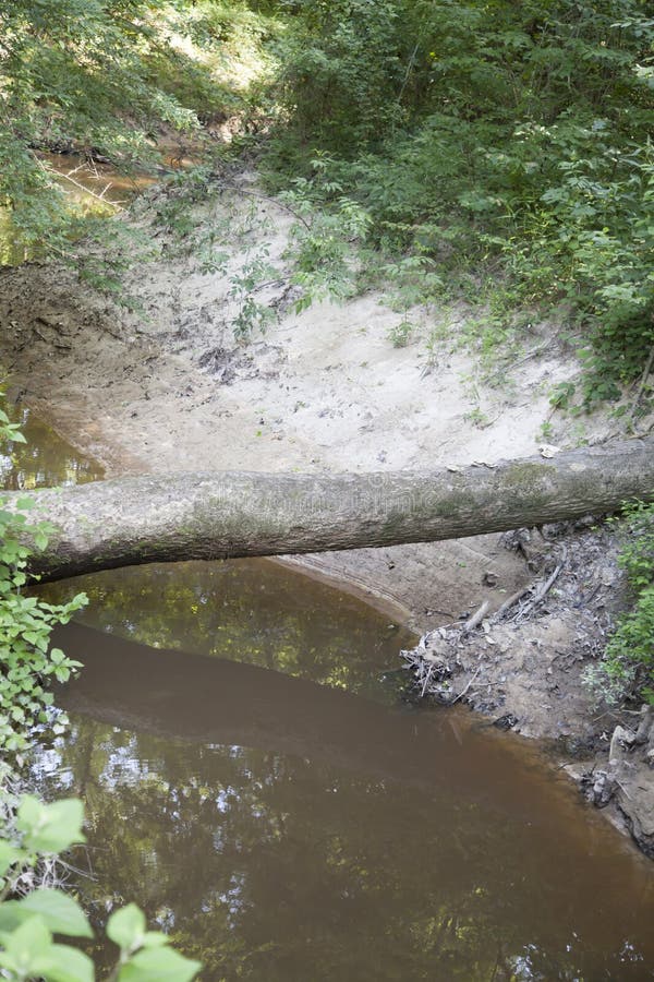 Country Stream stock photo. Image of forest, brook, beautiful - 86855814