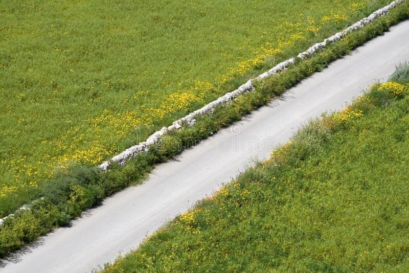 The country street stock photo. Image of flower, tree - 2327752