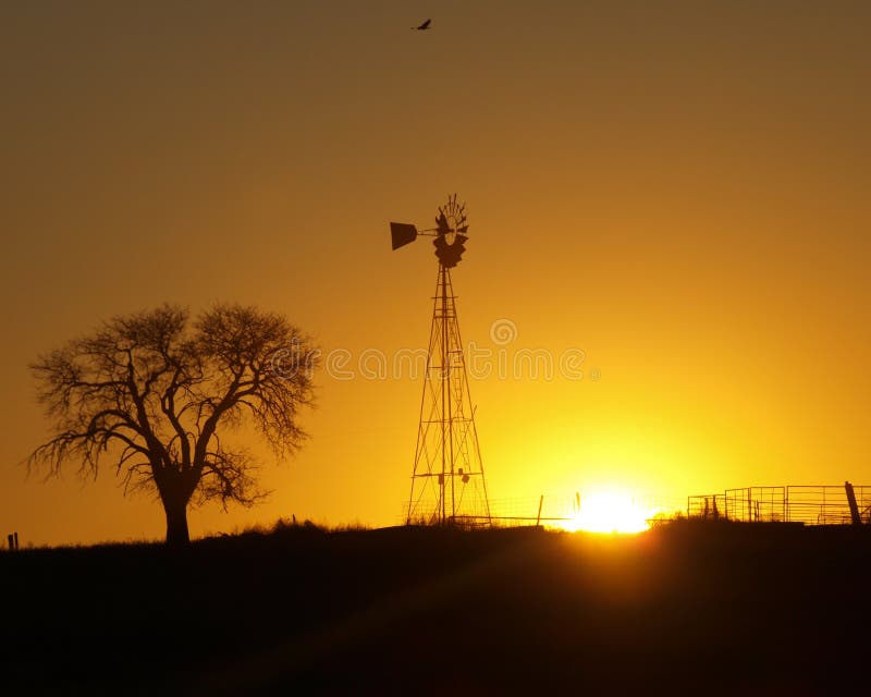Country Sunrise stock photo. Image of green, colors, calm - 48504836