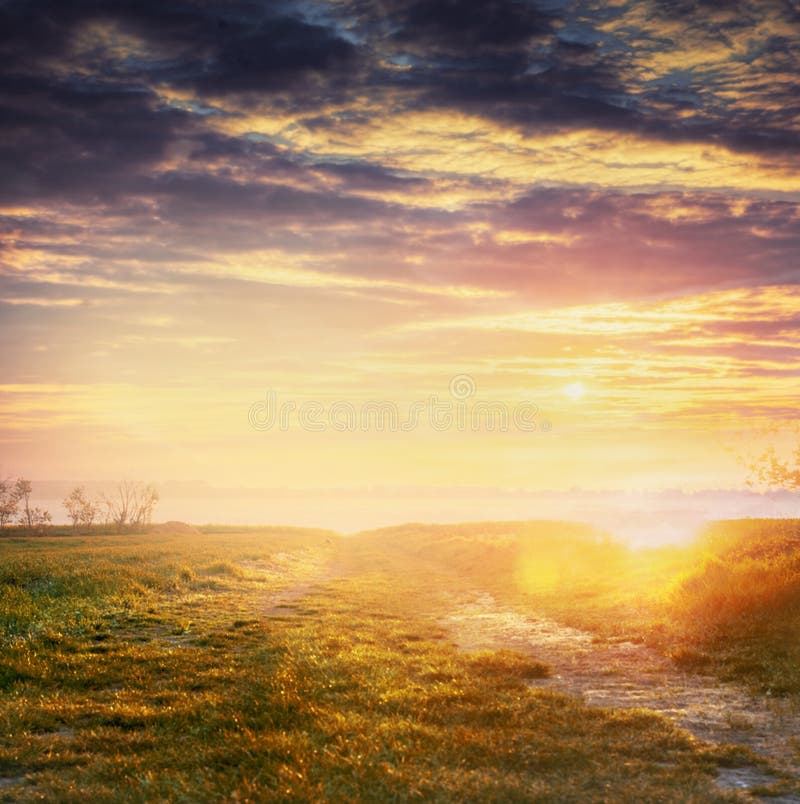 Blurred Sunset Garden or Park Nature Background Stock Image - Image of ...