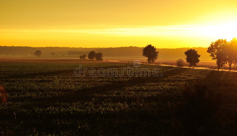 Country Sunsets stock photo. Image of summer, long, yellow - 27999814
