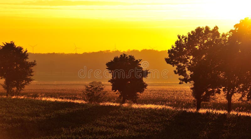 Country Sunsets stock photo. Image of shadow, trees, sunset - 27999818