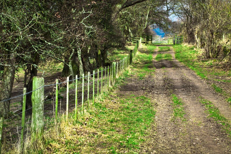 Country track stock image. Image of cheviot, alley, walkway - 31831041