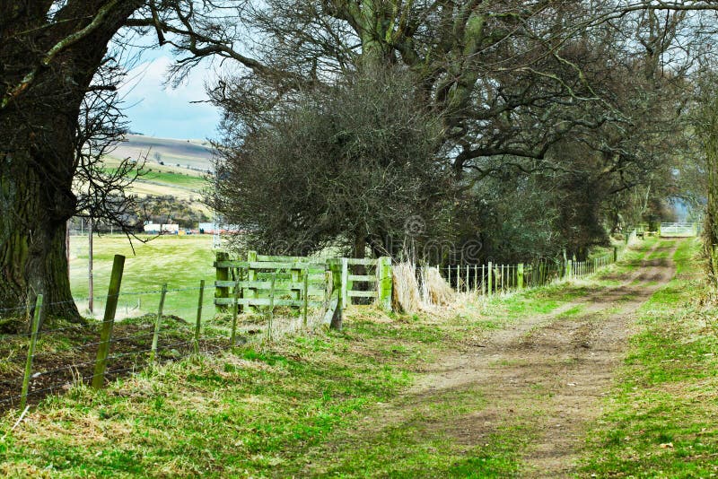 Country track stock photo. Image of environment, scottish - 31831324