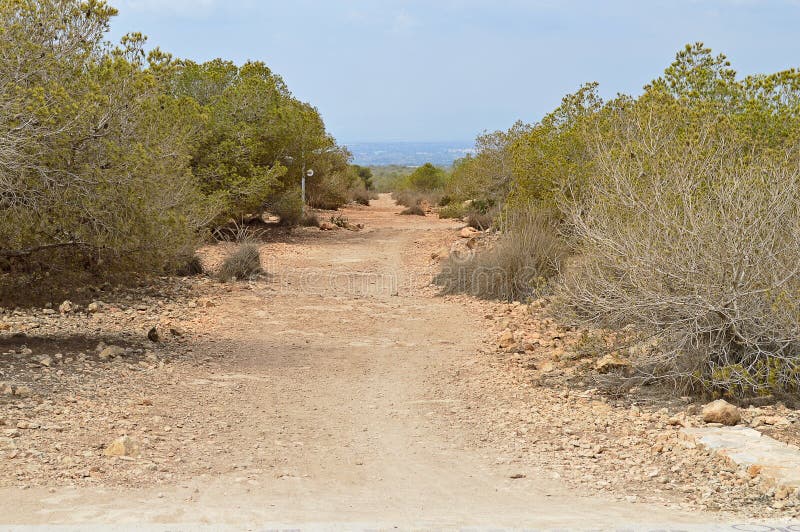 319 Rugged Pathway Forest Stock Photos - Free & Royalty-Free Stock ...