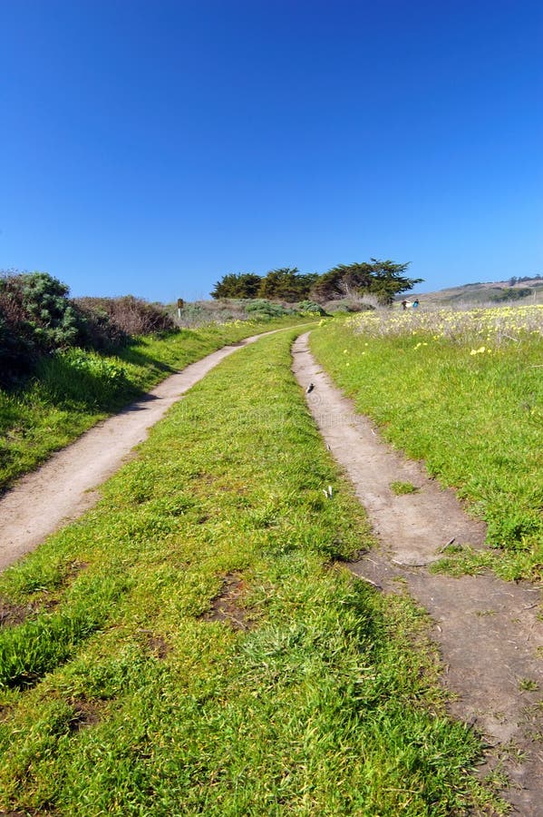 Country trail stock image. Image of road, spring, country - 556621