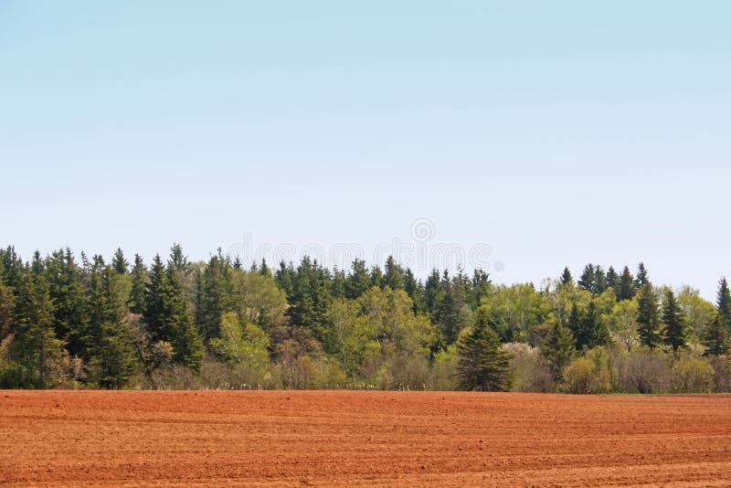 Country Treeline stock image. Image of rural, natural, flower - 778283