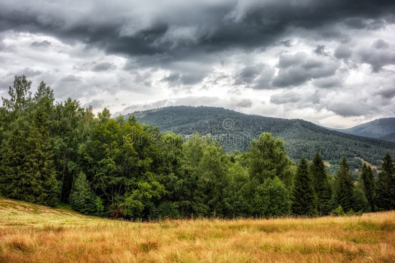 Country with Trees and Stormy Clouds on the Dark Sky Stock Image ...