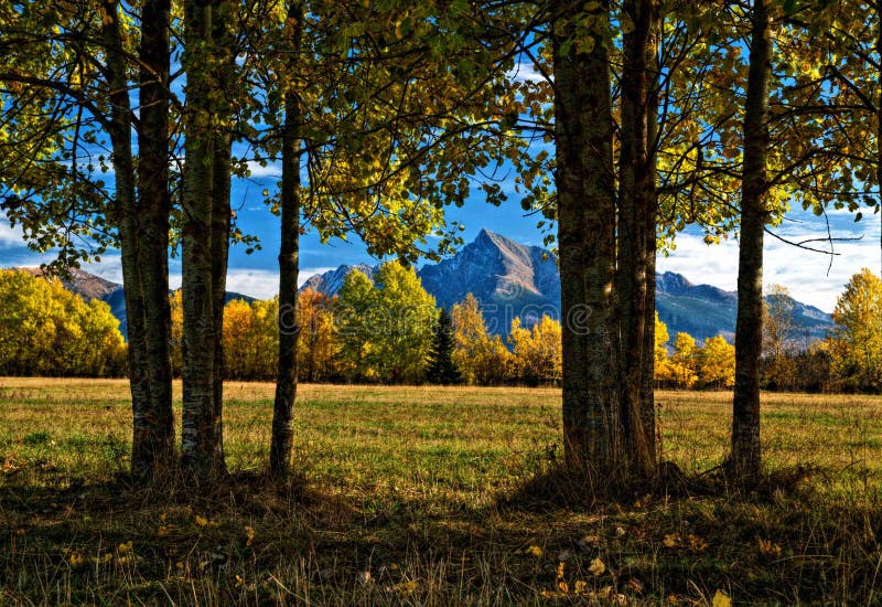 Country stock photo. Image of turitika, seasons, trees - 61548800
