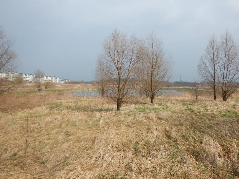 Country view. stock image. Image of lake, country, nature - 89600493