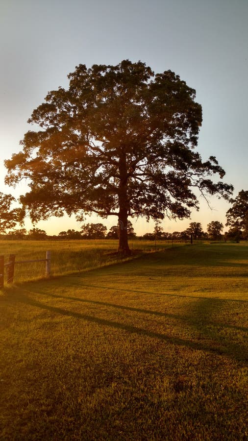 Country view stock photo. Image of trees, sunset, country - 92134024