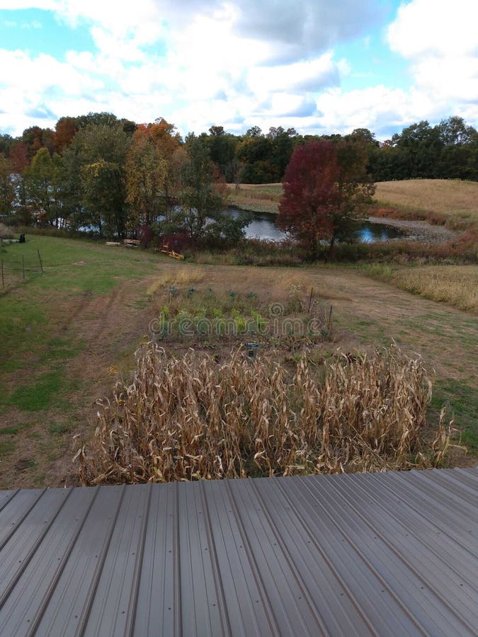 Country Views from Steel Roof Install Stock Photo - Image of yard ...