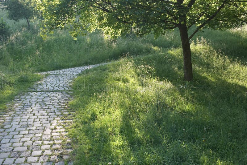 Country Walk stock photo. Image of outdoors, scenic, footpath - 25361928