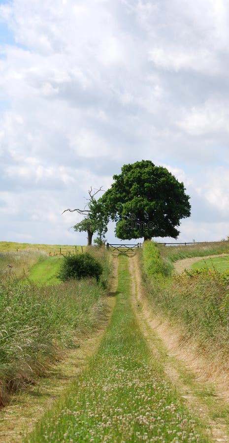 Country walk stock image. Image of idealic, wildlife, peaceful - 5572419
