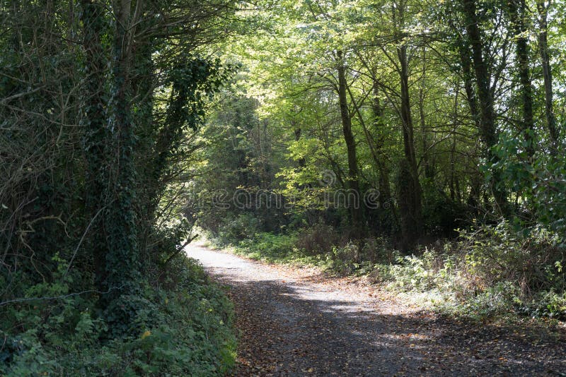 A country walk stock image. Image of greenery, walkers - 101164677