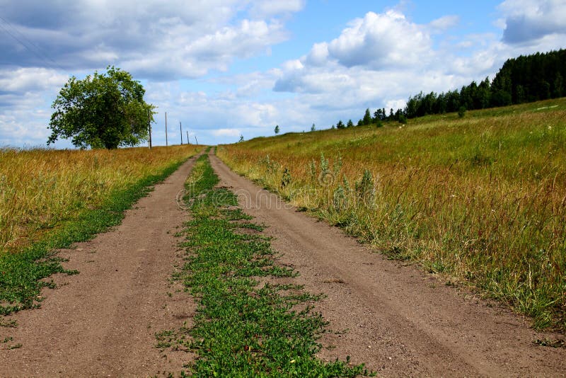 Country walk stock photo. Image of walk, flowers, away - 32006832